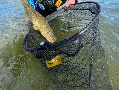 How to choose a fly-fishing landing net - Fencl fishing