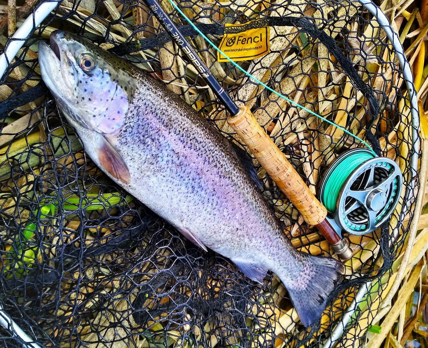 How to choose a children’s landing net - Fencl fishing